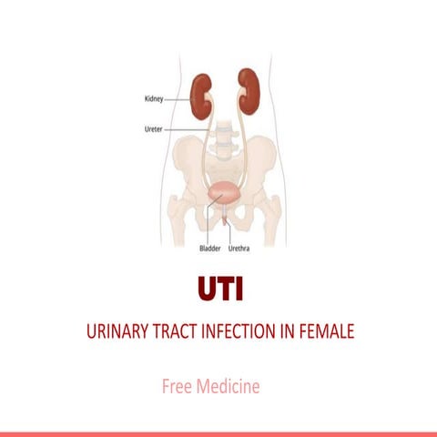 Urinary Tract Infection (UTI) | PPT