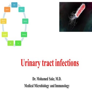 Proteus spp lecture | PPTX