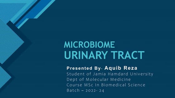 Urinary Tract Infections(Pathways of Infection) | PDF