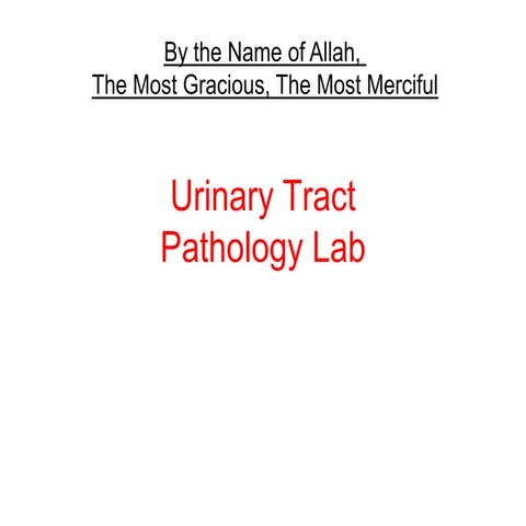 Urinary tract pathology lab | PDF