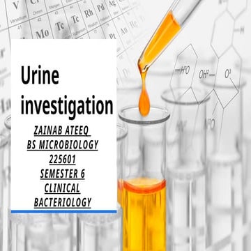 Urine Sample Collection, Transport & Microbiological Processing: A Step ...