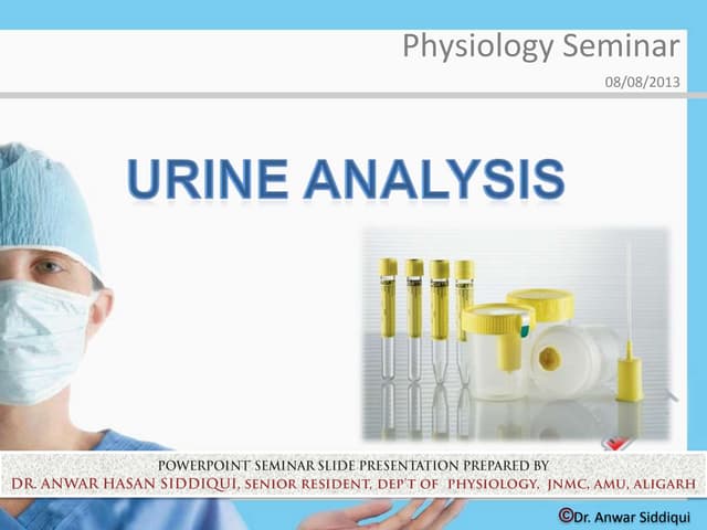 Physiology of Urine Formation | PPTX