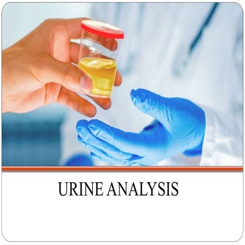 Urine analysis | PPTX