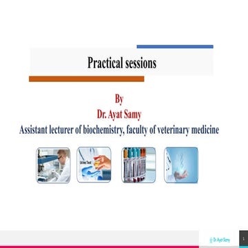 Urine analysis (physical, chemical and microscopic examination of urine ...