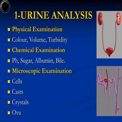 Urine and Stool analysis.ppt urine and stool analysis | PPT