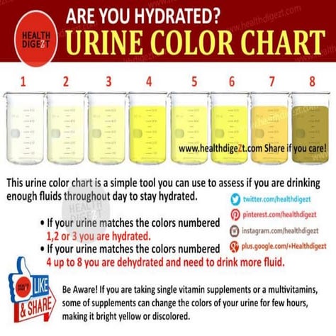 Urine chart | PDF
