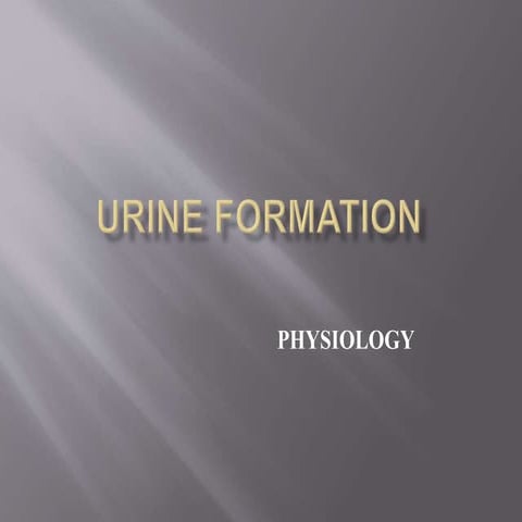 Urine formation in anatomy and physiology | PPTX