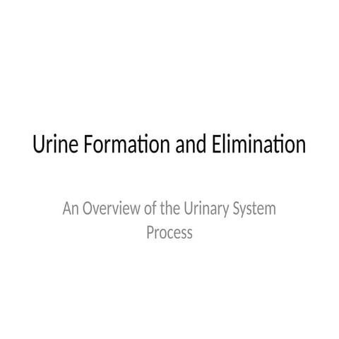 Urine_Formation_Elimination_Presentation.pptx
