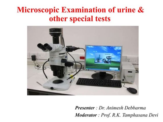 Microscopic examination of urine | PPT
