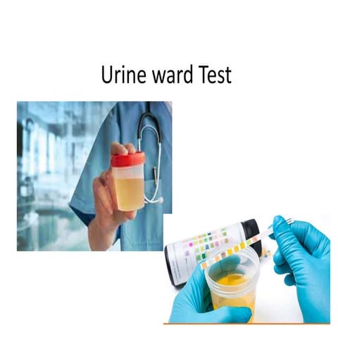 Urine ward Test.pptx