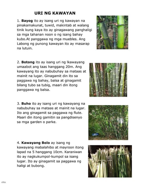 Mga kasangkapang panukat Grdae 4 | PPT