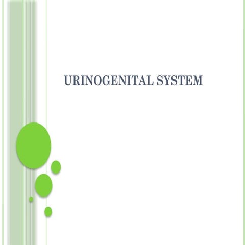 urinogenital biological species concept syst.pptx