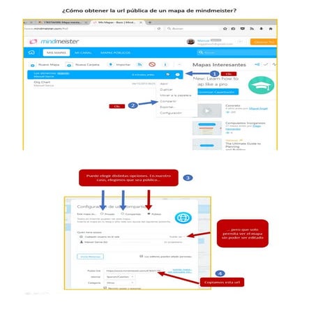Obtener Url para compartir mapa mental MindMeister | PDF