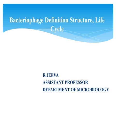 Bacteriophage Definition, Structure, and Life Cycle | PPTX