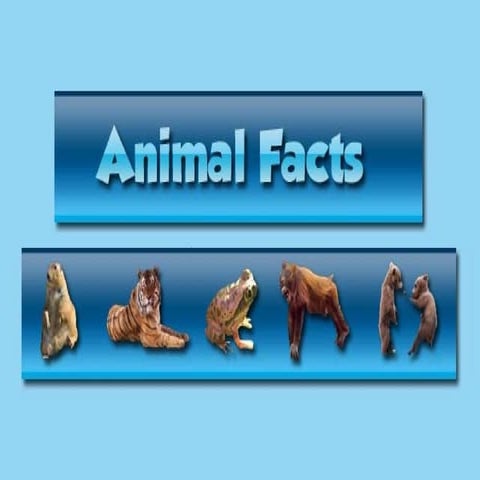Urmil amazing facts | PPT