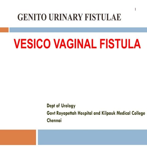 Uro gynacology- vvf | PDF