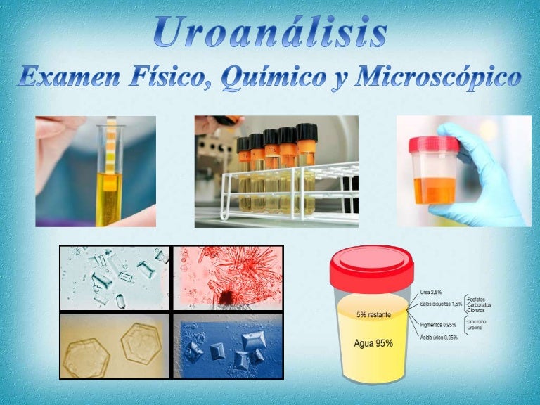 Areas de Rutina en el Laboratorio Clinico – El Laboratorio Clínico es ...