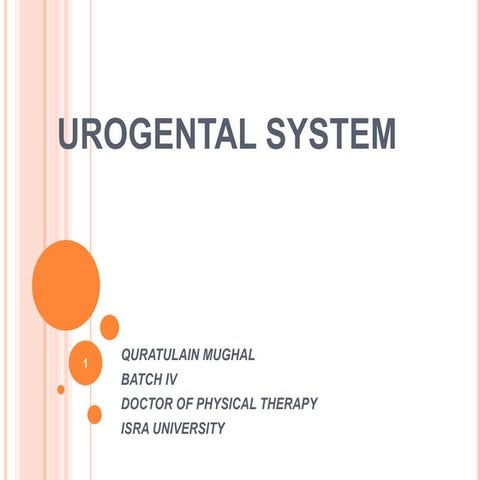 Urogenital system | PPTX