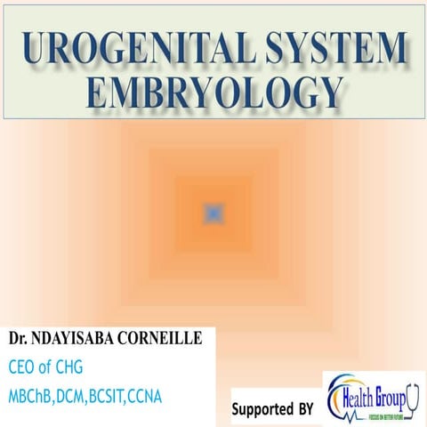 Urogenital System Embryology.pptx