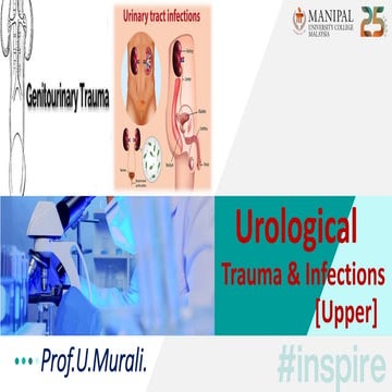 Urological Trauma & Upper Urinary Tract Infections | PDF