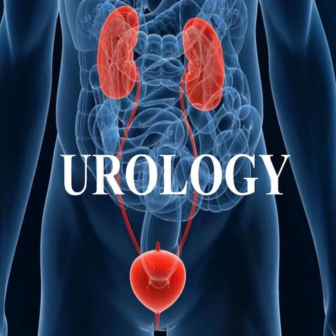 Urology Diseases PowerPoint Template Slides | PPTX