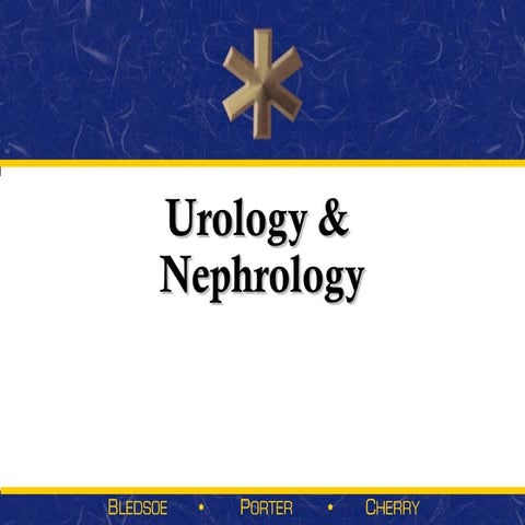 Urology and nephrology | PPT