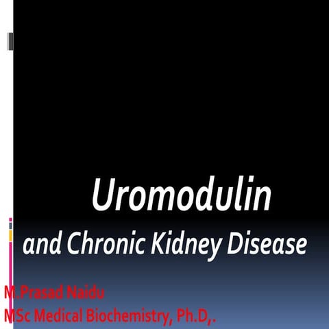 Uromodulin | PPTX