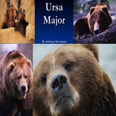 Ursa Major Ppt | PPT