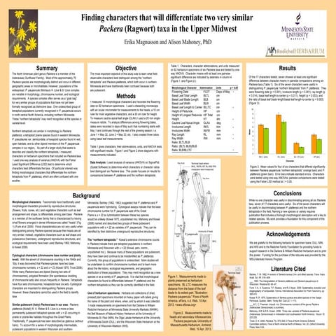 Undergraduate Research Symposium Poster Presentation | PPT