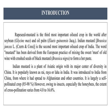 synopsis presentation On Rape seed and mustard | PPTX
