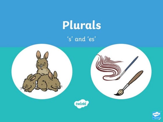Singular and plural nouns grade 1 by cbr | PPTX