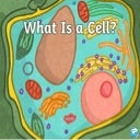 us2-s-187-what-is-a-cell-powerpoint-english_ver_3.pptx