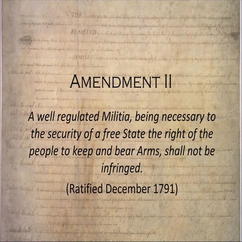 Us.2.Amendment Ii, Viii | PPT