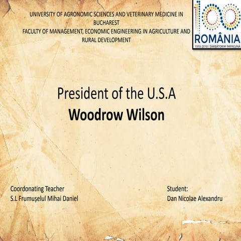 HISTORY IGCSE REVISION CARDS - 026. WILSON AND HIS 14 POINTS | DOCX