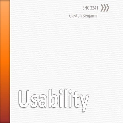 Usability Ppt Pptx