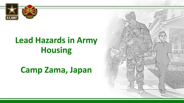 HUD Lead Paint Flyer | PDF