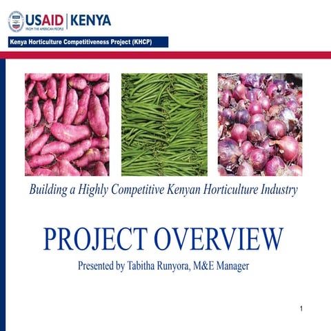 Usaid khcp activities presentation | PDF