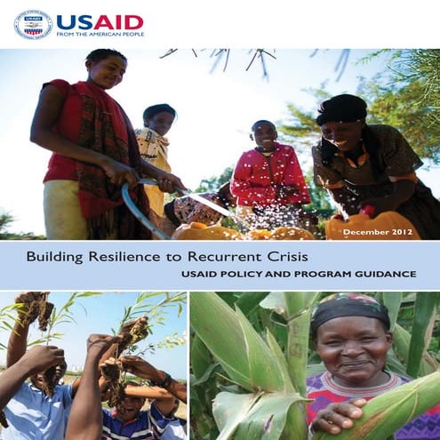 Building Resilience to Recurrent Crisis USAID POLICY AND PROGRAM ...