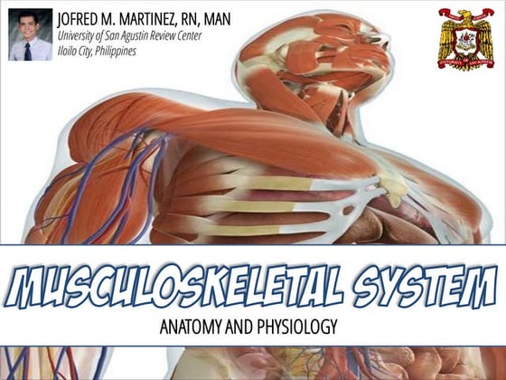 Assessment of musculoskeletal system | PPT