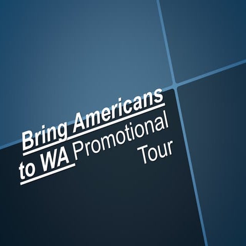 Usa promotional tour | PPT