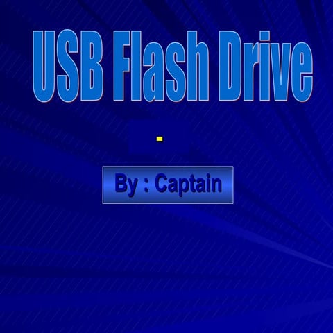 Usb Flash Drive | PPS