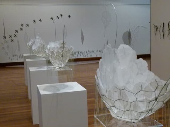 Leaves & Birds. Usc 2011 | PDF