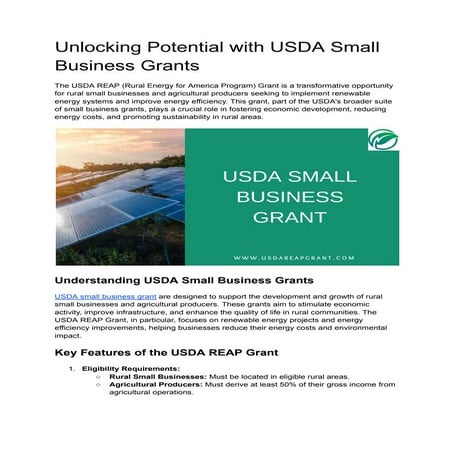 USDA Small Business Grant: Empowering Rural Entrepreneurs | PDF