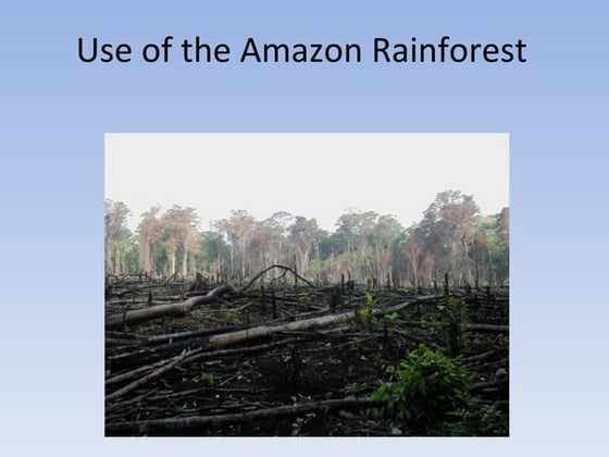 Help Save The Rainforest | PPT