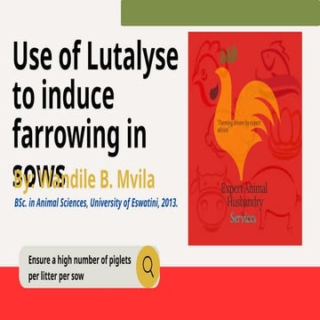 Use fo Lutalyse to induce farrowing in sows.pptx