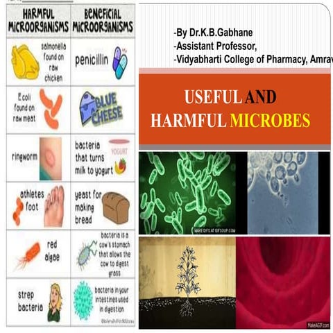 Microorganism ppt