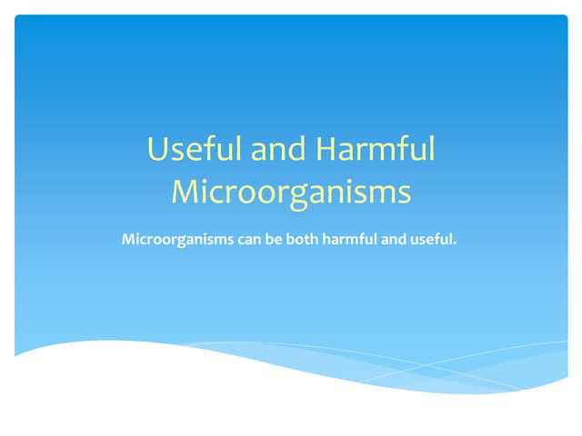 Harmful and Useful Microorganisms Presentation | PPTX