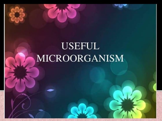 Harmful and Useful Microorganisms Presentation | PPTX