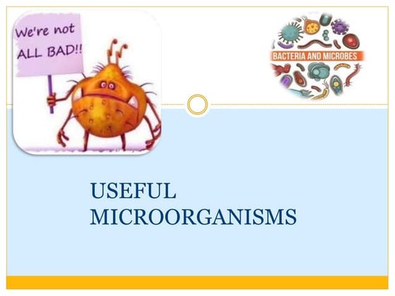 Microorganisms Class 8 | PPT