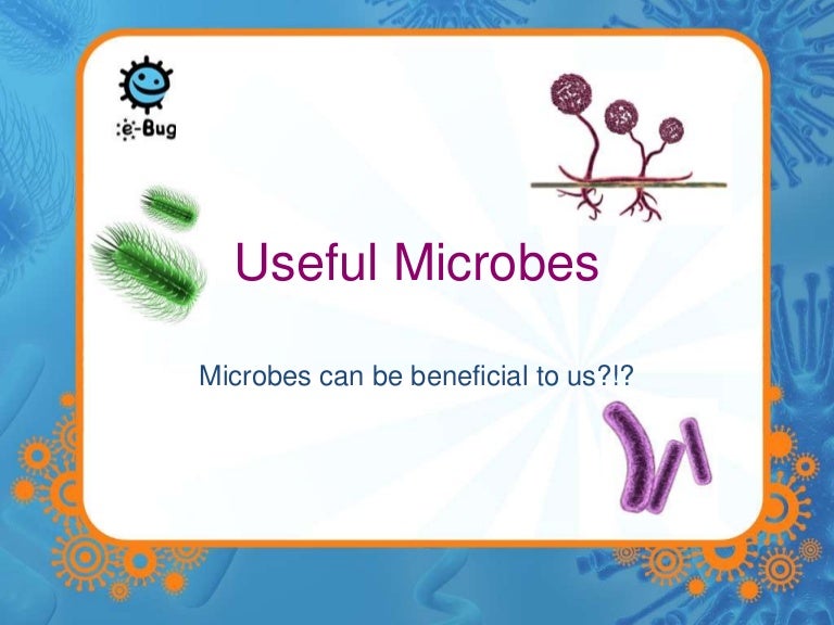Useful microbes presentation